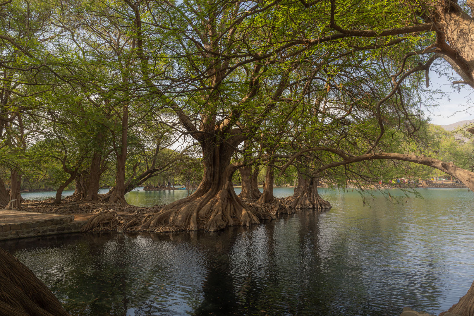 Lago De Camécuaro - Michoacán, El Alma De México | Visit Michoacan