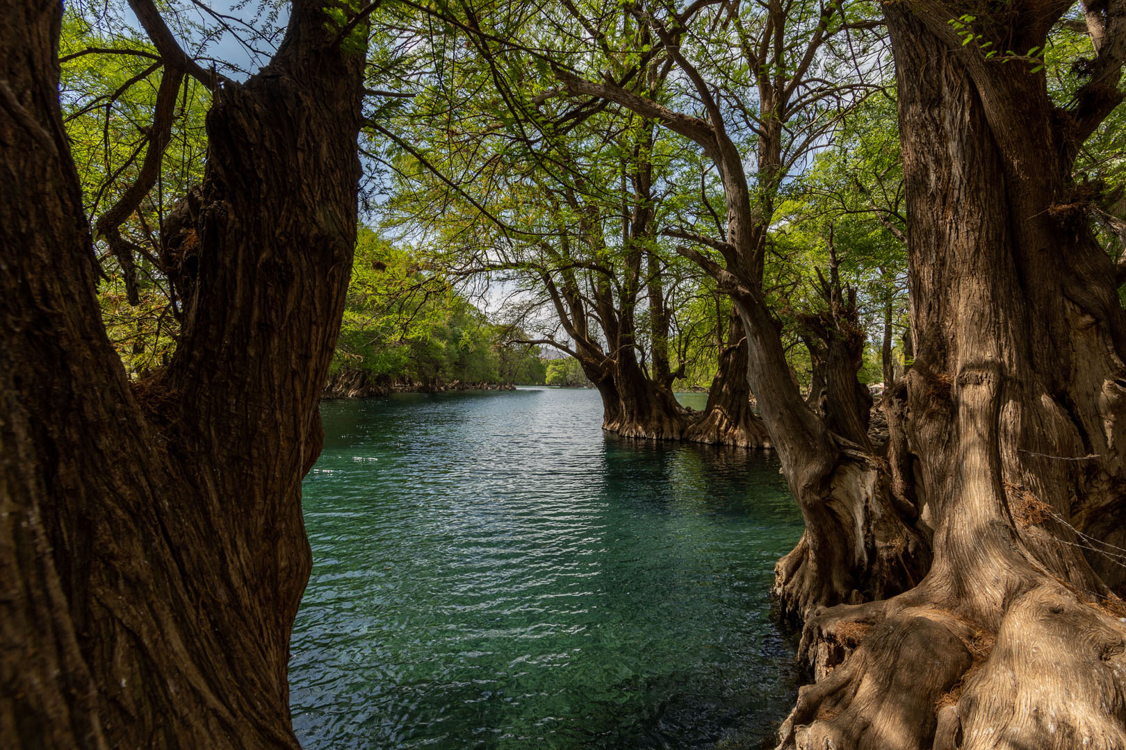 Lago De Camécuaro - Michoacán, El Alma De México | Visit Michoacan