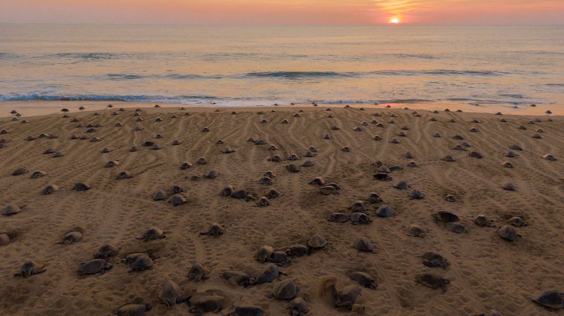 Playa Azul - Michoacán, El Alma De México | Visit Michoacan